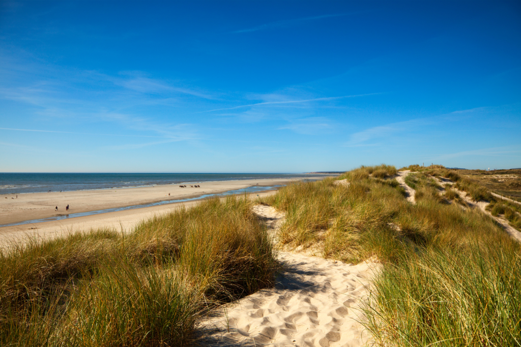 Les 7 plus belles plages de Normandie à découvrir