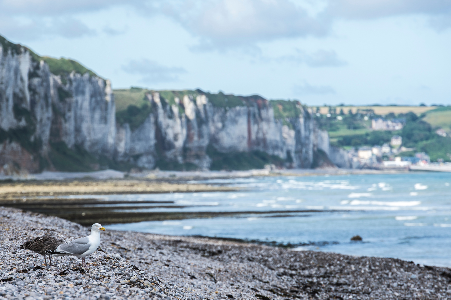 Les 8 plus belles plages de galets en France
